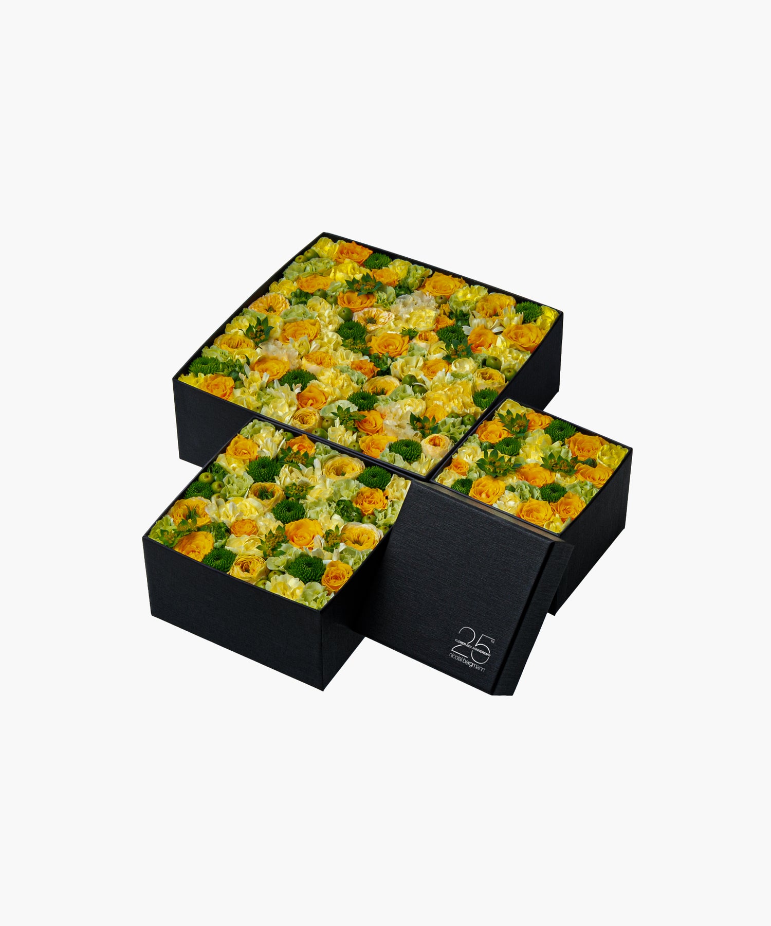 Yellow Breeze (イエロー ブリーズ)