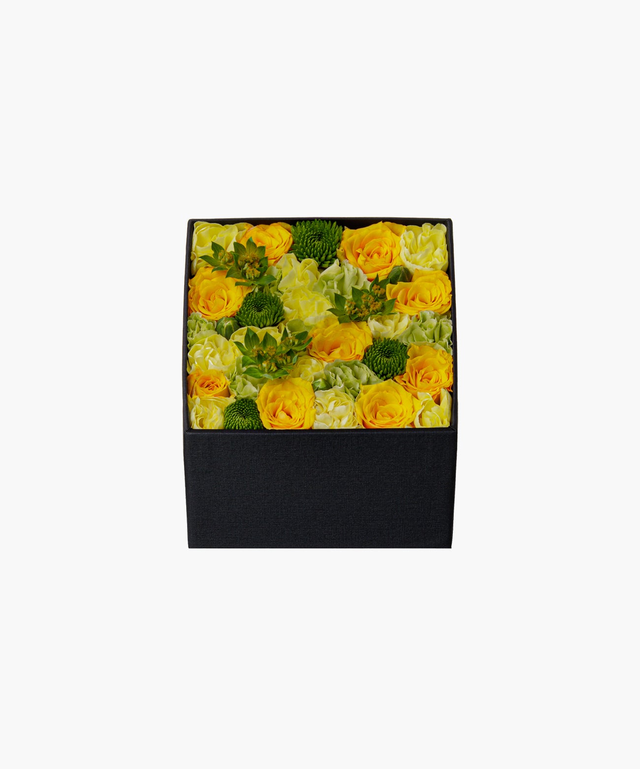 Yellow Breeze (イエロー ブリーズ)