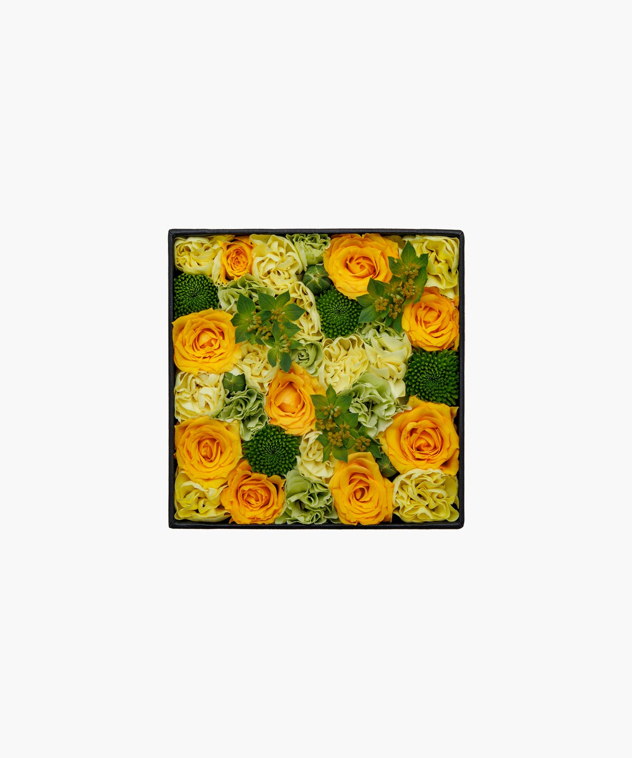 Yellow Breeze (イエロー ブリーズ)