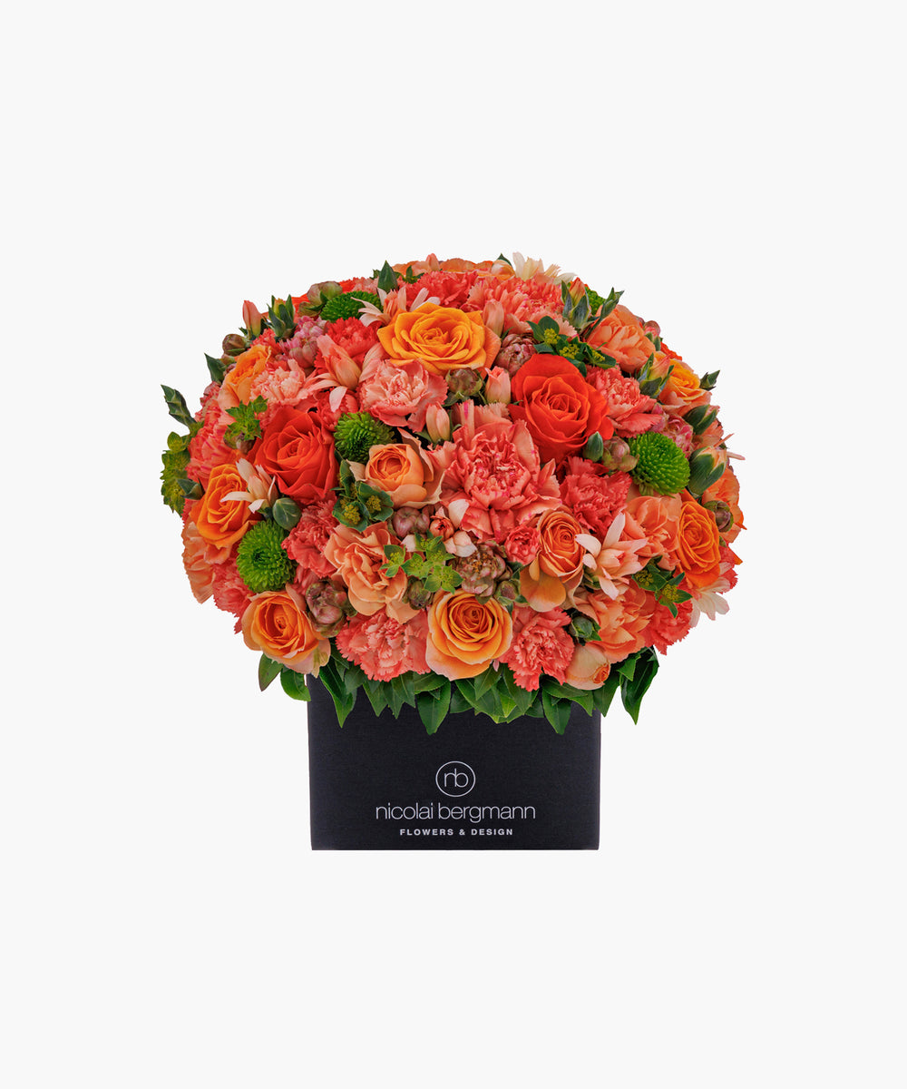 Sun Pop（サン ポップ）