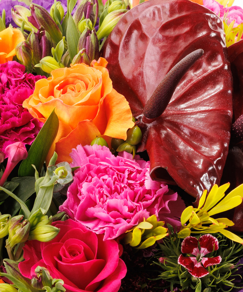 Botanic Energy（ボタニック エネルギー）