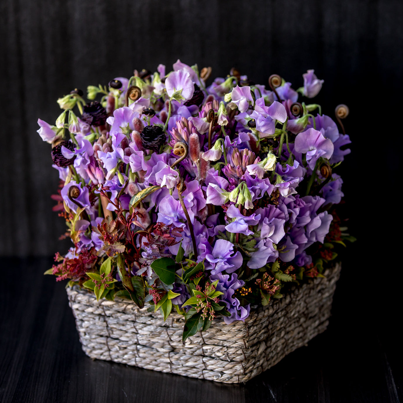 Violet Palette of Winter